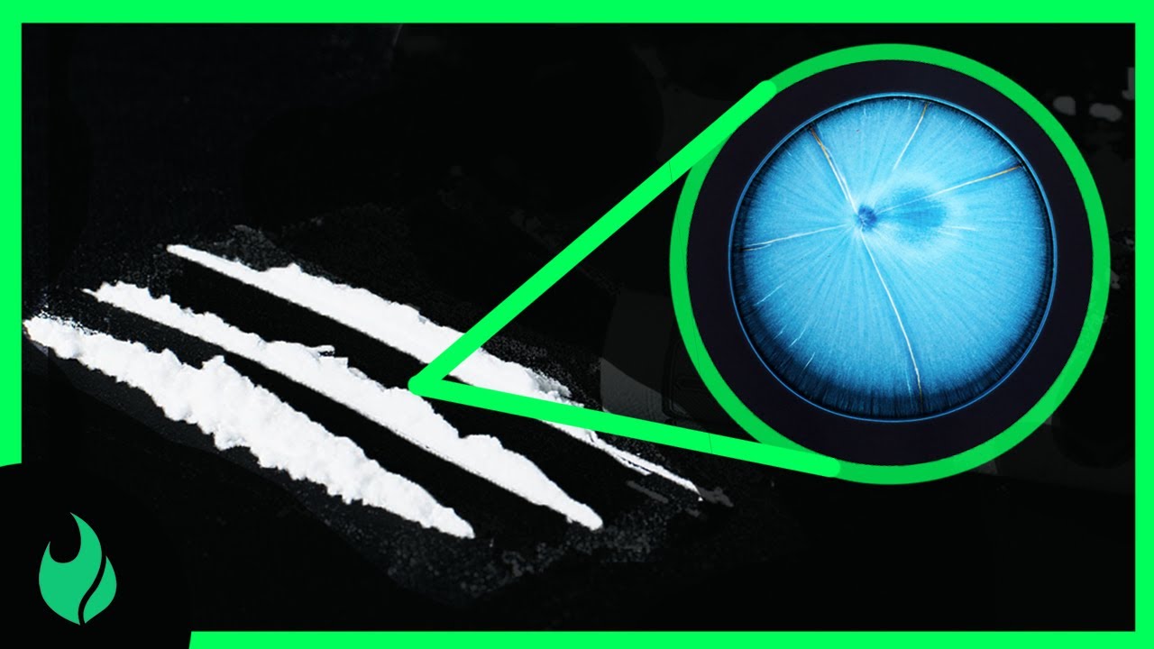 DRUGS UNDER A MICROSCOPE - YouTube