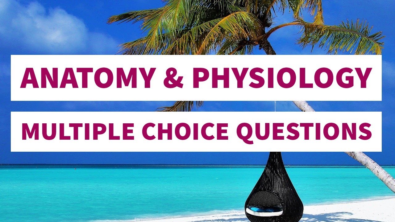 Anatomy And Physiology Multiple Choice Questions YouTube Anatomy And Physiology Multiple Choice Questions YouTube