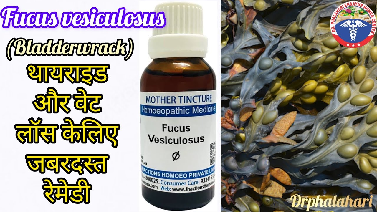 obesity and Thyroid best homeopathic medicine- Fucus Vesiculosus Q ...