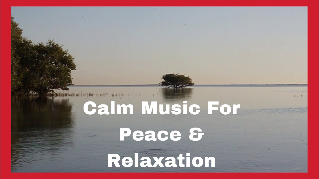 Calm music for peace and relaxation || See calm wave for sleeping ...