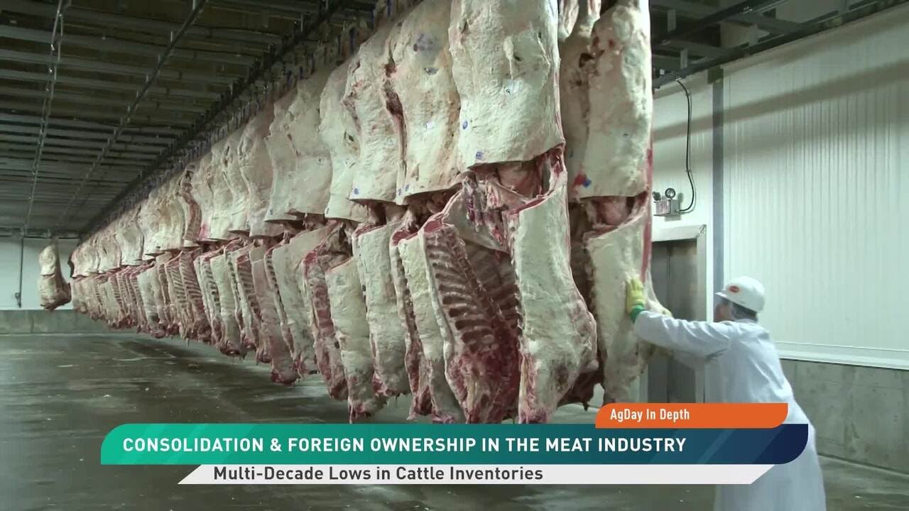 AgDay In Depth: Consolidation & Foreign Ownership in the Meat Industry ...