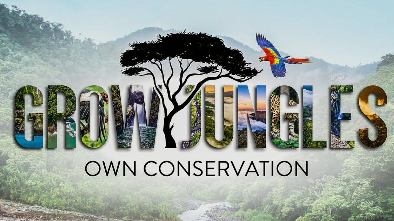 We Are Grow Jungles Conservation - YouTube