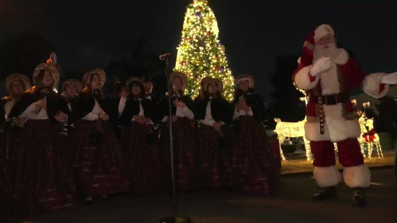 Coast Village Road shines brighter after Christmas Tree lighting ...
