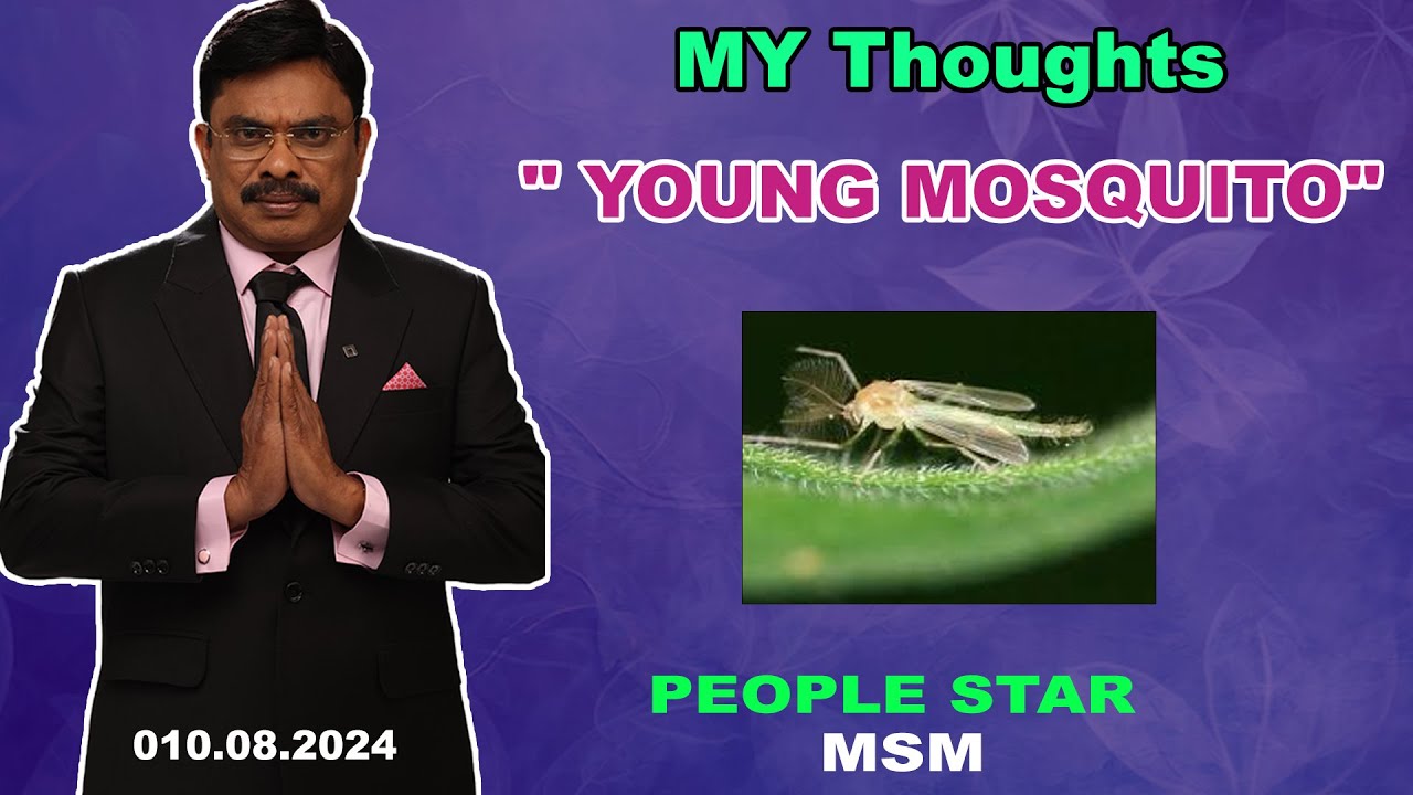 " YOUNG MOSQUITO" Story By PEOPLE STAR M.S.MOORTHY - YouTube