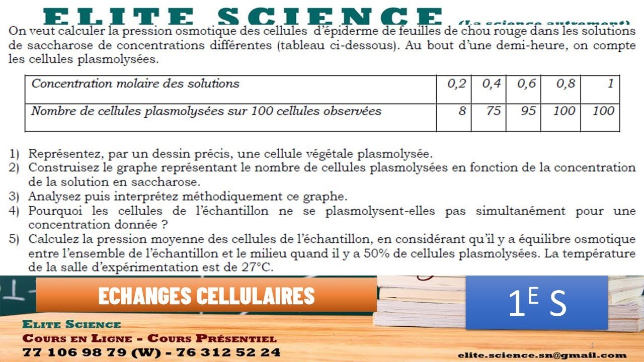 (1ES/SVT)Exercice intéressant sur les ECHANGES CELLULAIRES 🔬 - YouTube