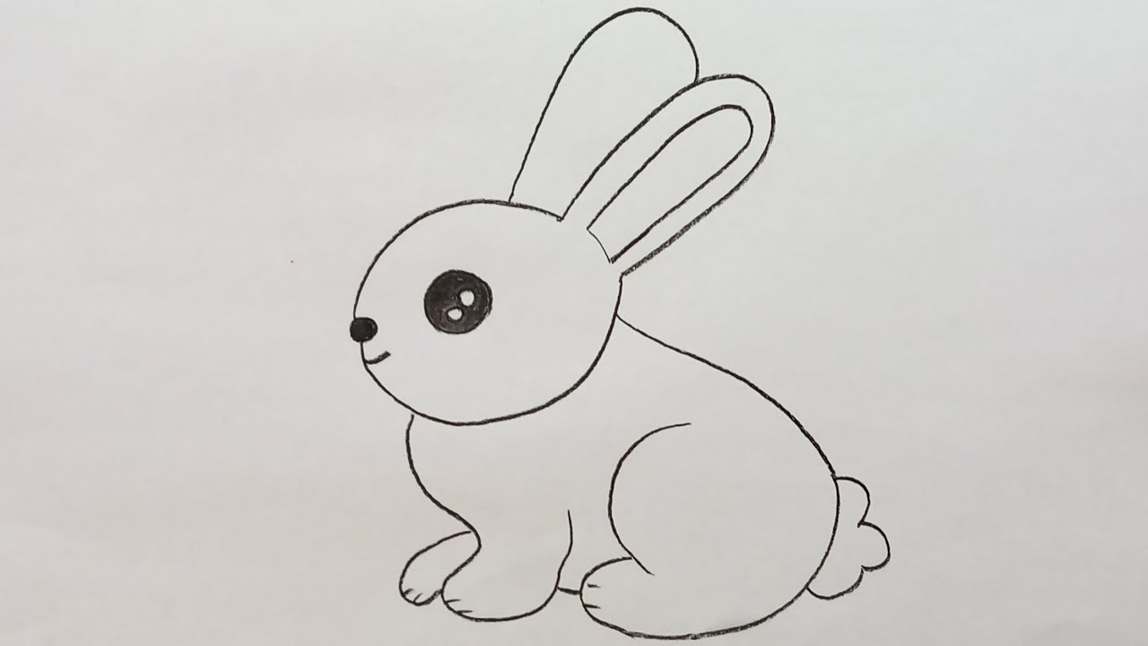 how to draw a bunny!! draw ing!! pencil drawing!! Drawingeasy!! drawing ...