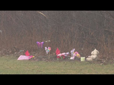 WATCH | Vigil held for 2 girls found dead in suitcases in Cleveland