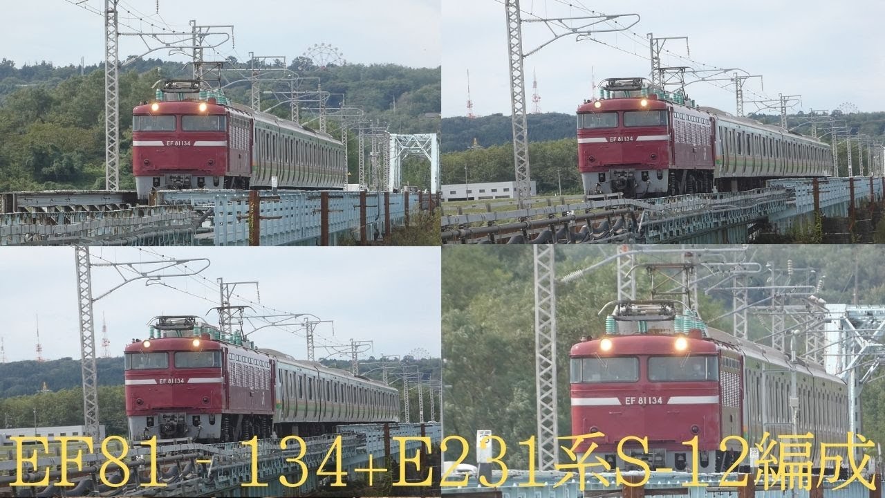 配9821 EF81‐134+E231系S-12編成AT入場配給(秋田総合車両センター入場) - YouTube