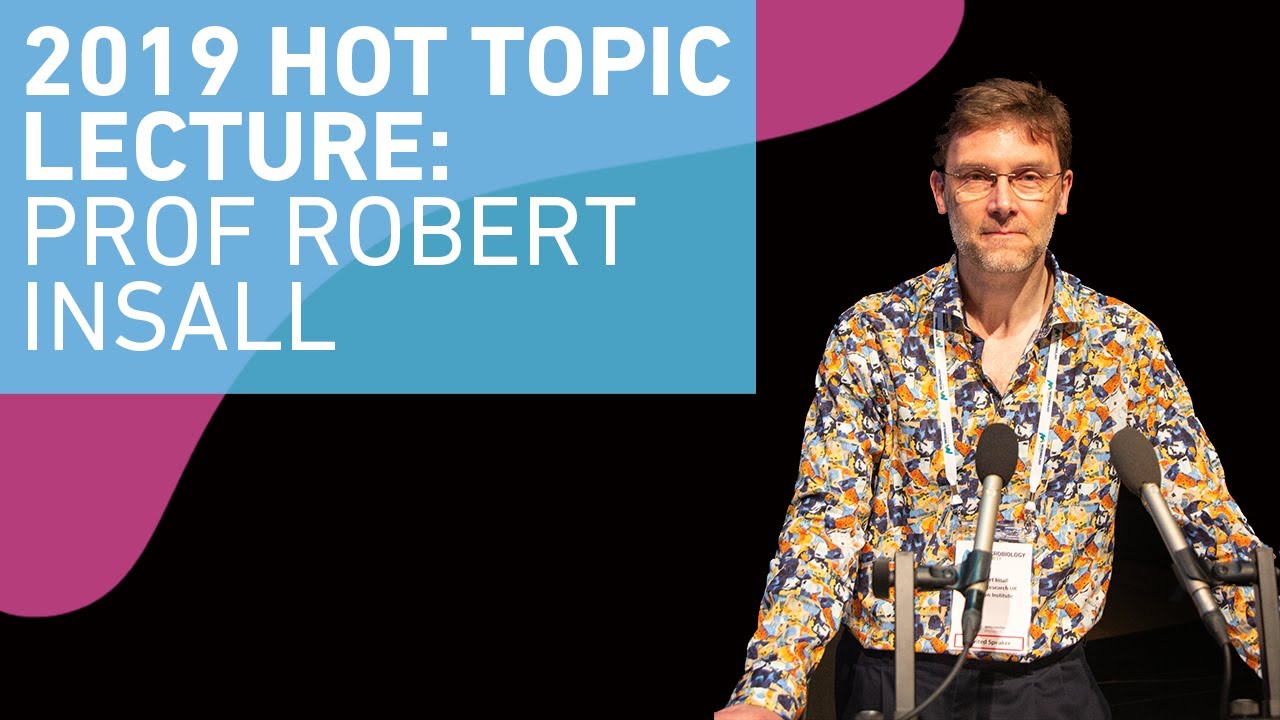 Hot Topic 2019: Creating a path - YouTube