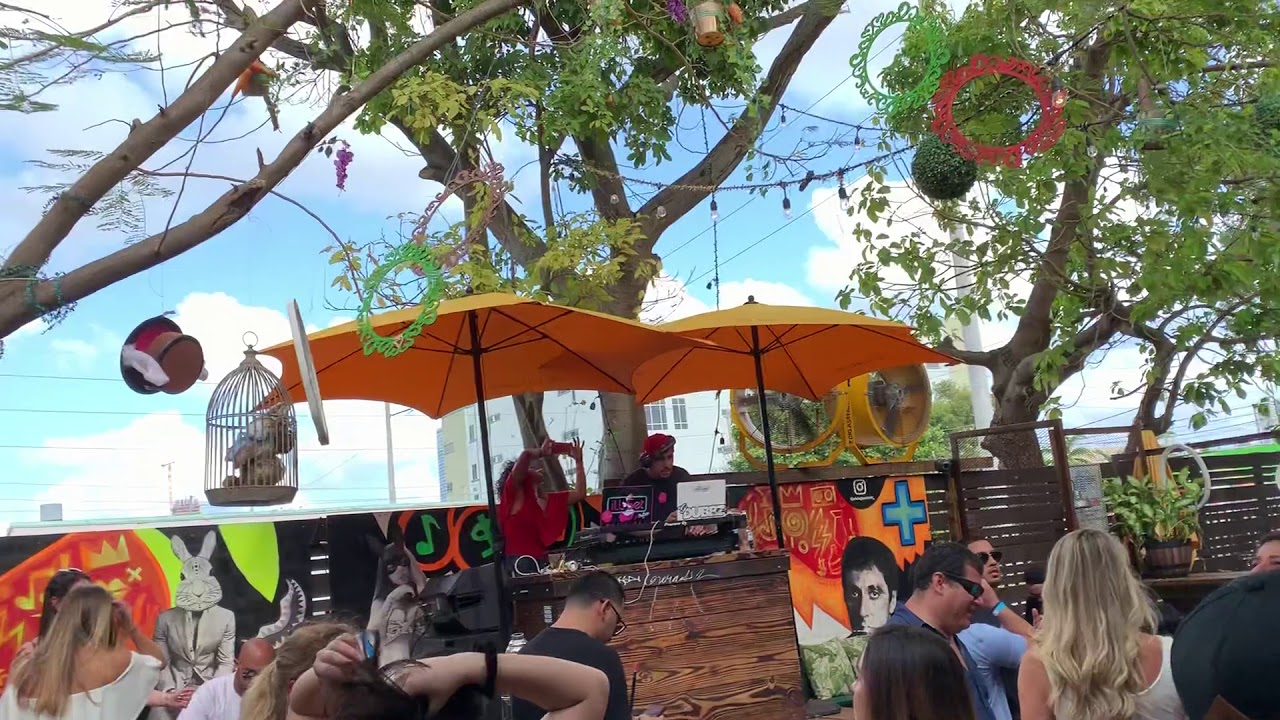 Dirty Rabbit Wynwood Miami Florida USA - YouTube