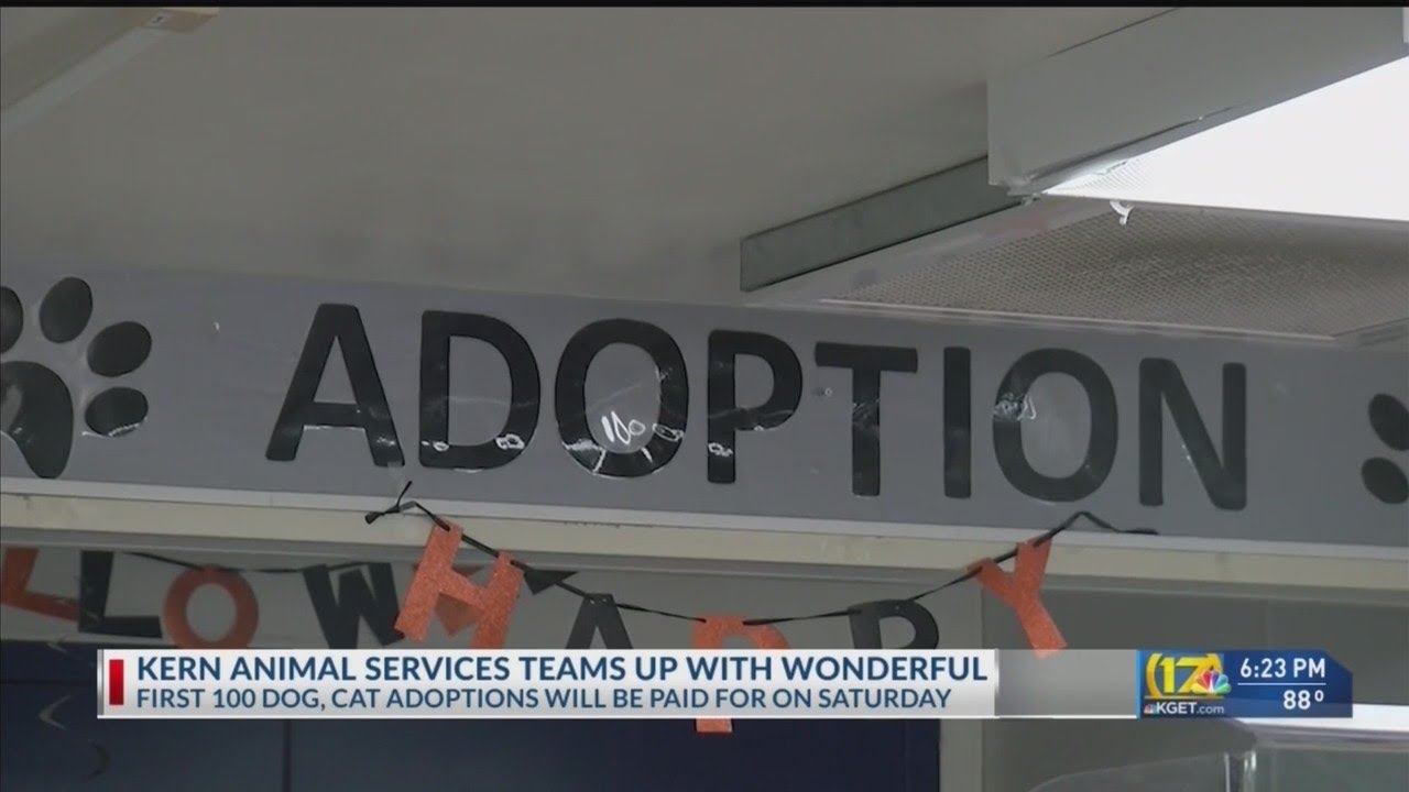 The Wonderful Company to pay for animal adoptions - YouTube