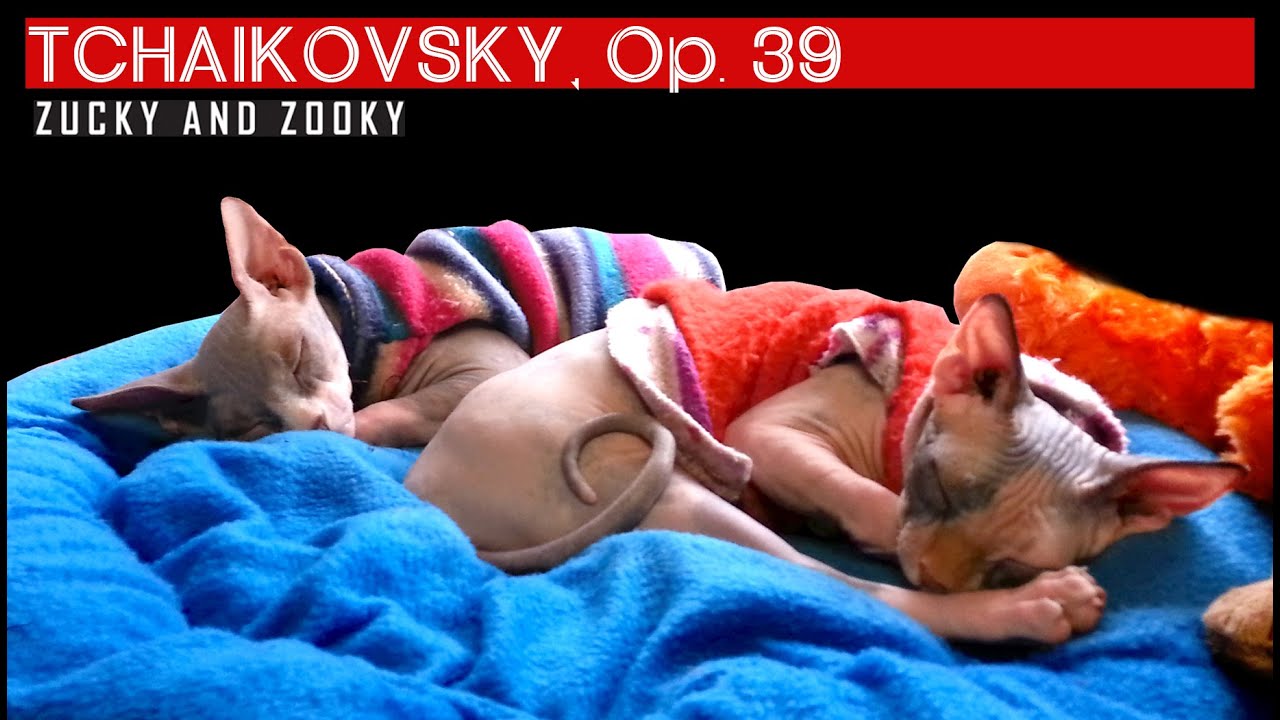 TCHAIKOVSKY OP. 39 FOR BABIES ️ Baby Classical Music for Sleep and ...