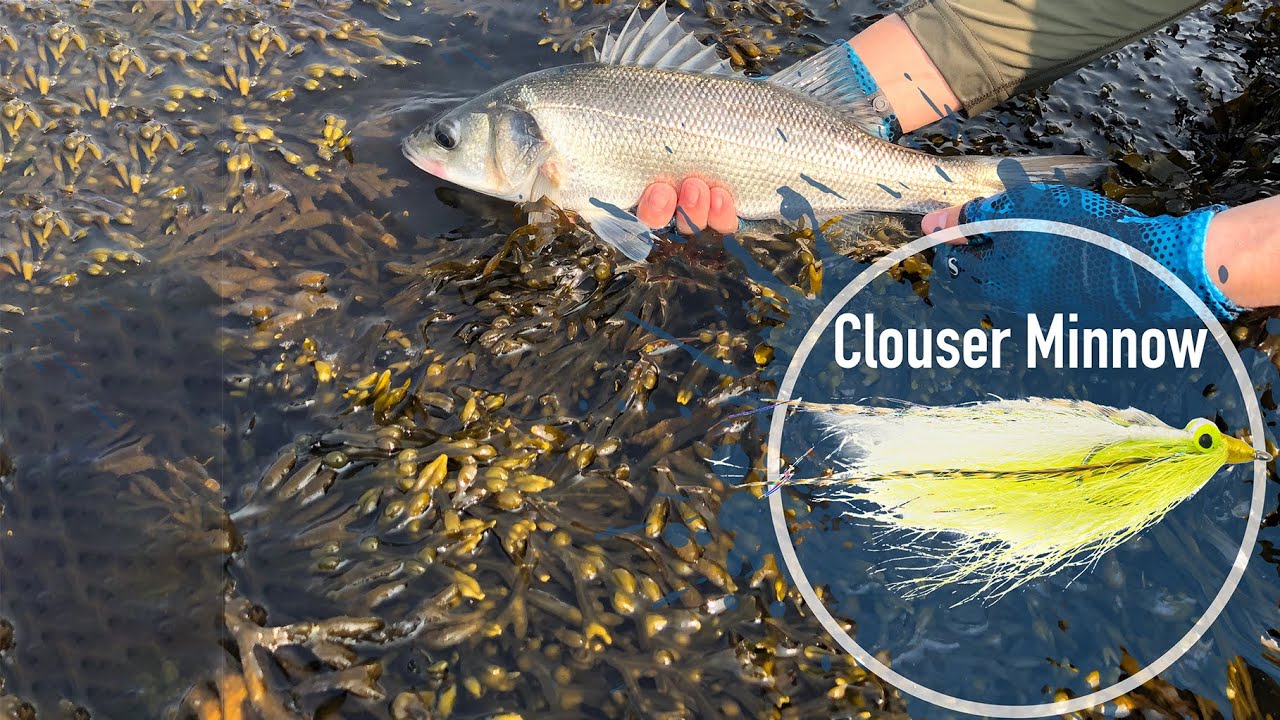 Fly Tying a Clouser Minnow - YouTube