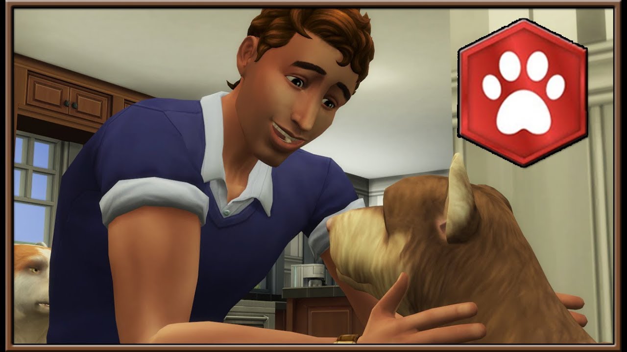 PLAYABLE Dogsitter Mod!! | The Sims 4 (by KawaiiStacie) - YouTube