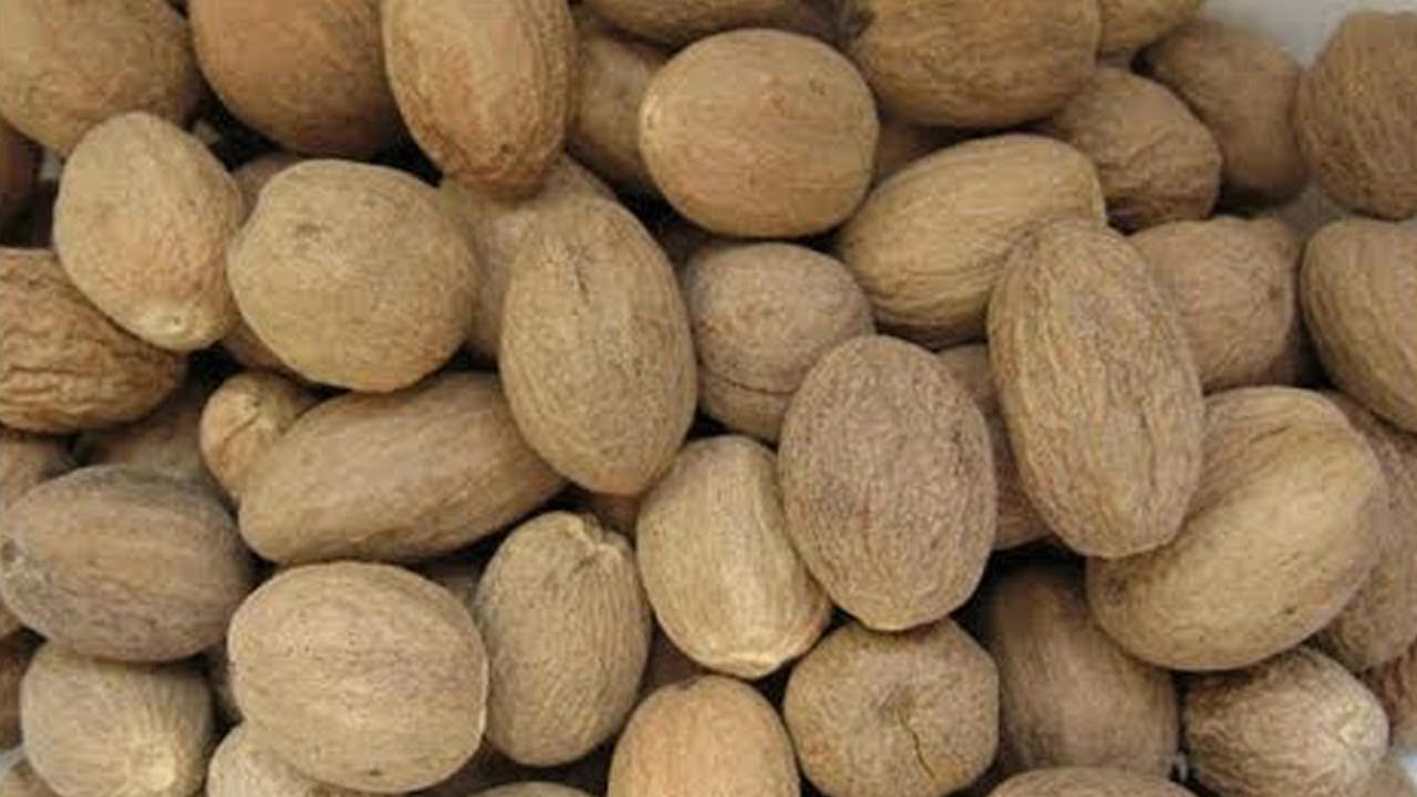How To Increase Eye Sight With Jay Fruit health Benefits In Telugu mana Plants Telugu YouTube how-to-increase-eye-sight-with-jay-fruit-health-benefits-in-telugu-mana-plants-telugu-youtube