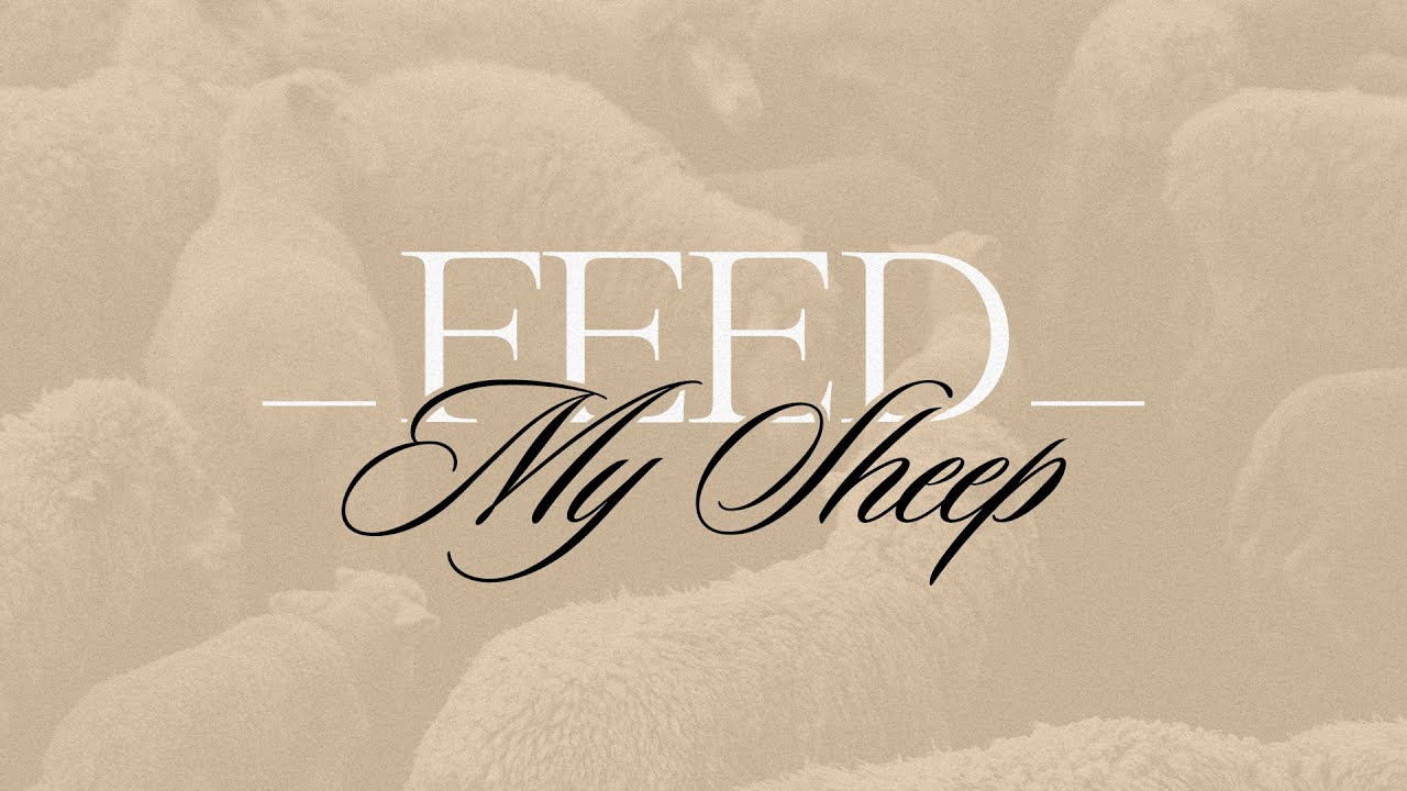 Feed My Sheep | John 21:1-25 | Pastor Mike Wiggins - YouTube