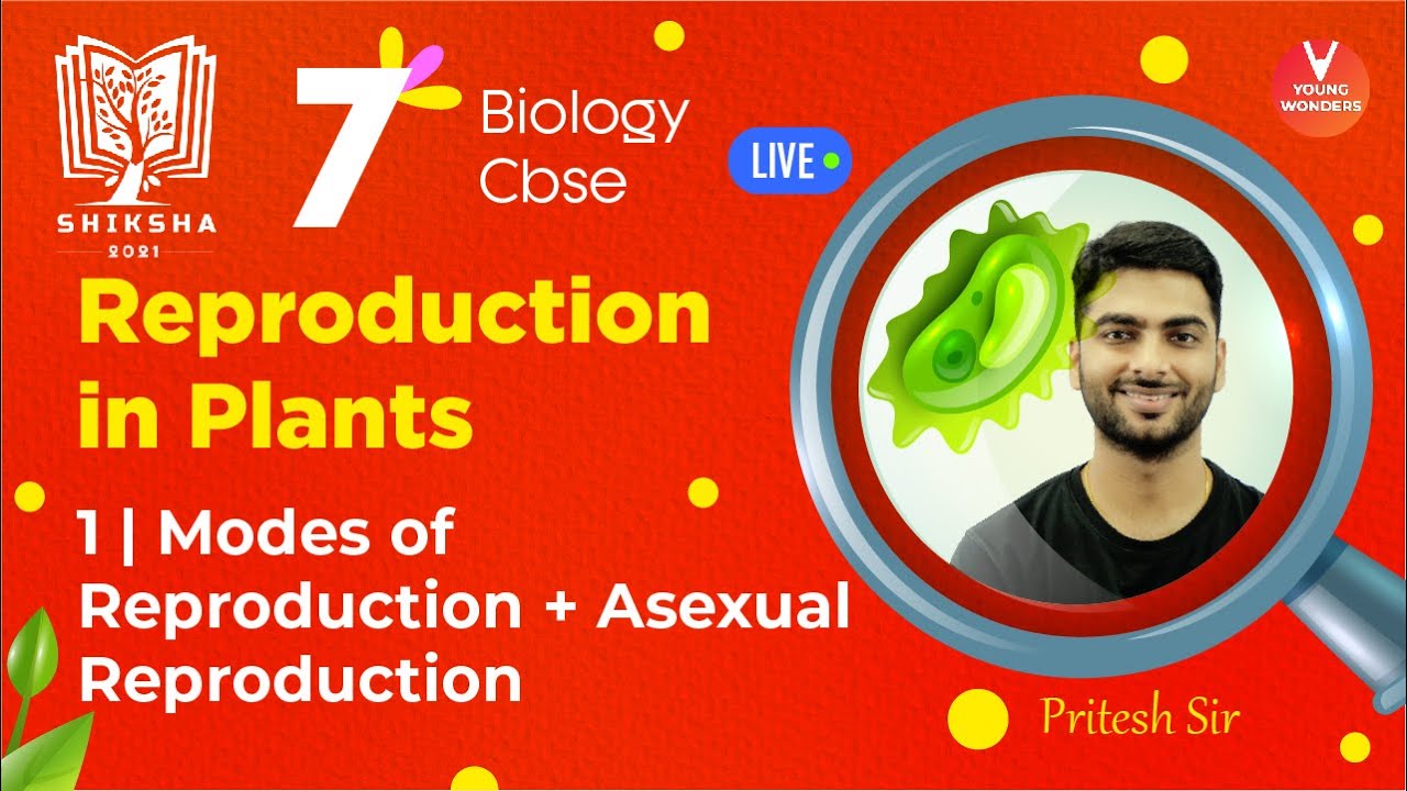 Reproduction in Plants L1 [Modes of Reproduction & Asexual Reproduction ...
