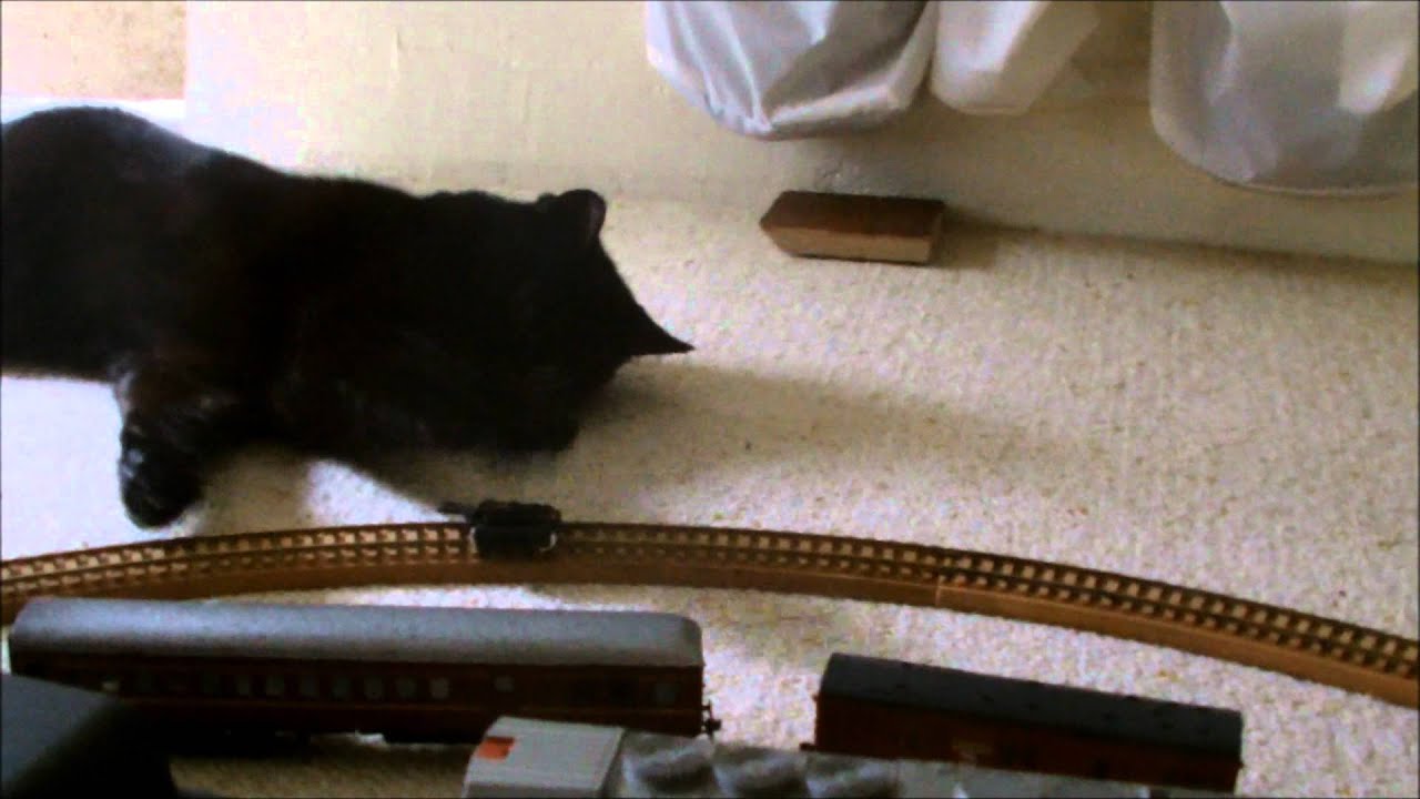 Cat Playing with Model Train - YouTube