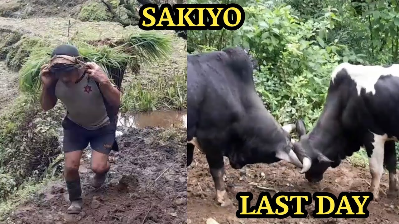 KODO ROPAI SAKIYO GOTHA PANI SARIYO - YouTube