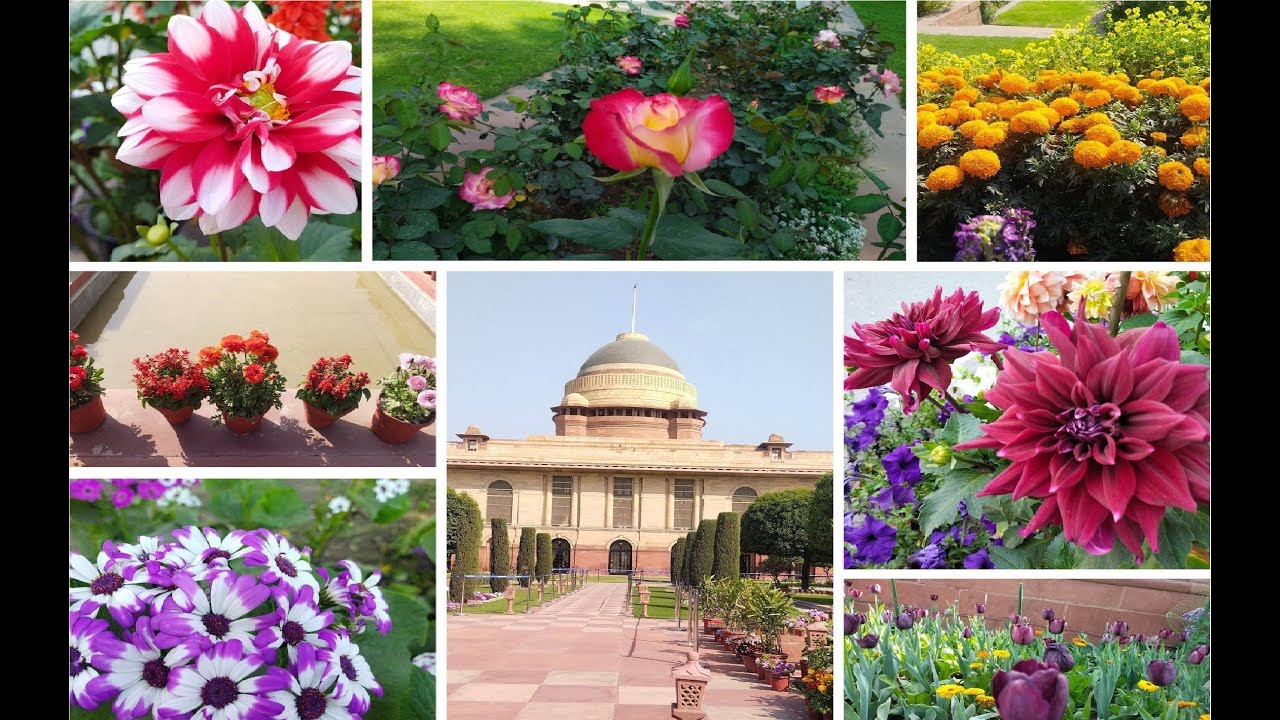 Amrit Udayan Garden visit 2023 || Mughal Garden, New Delhi and ...