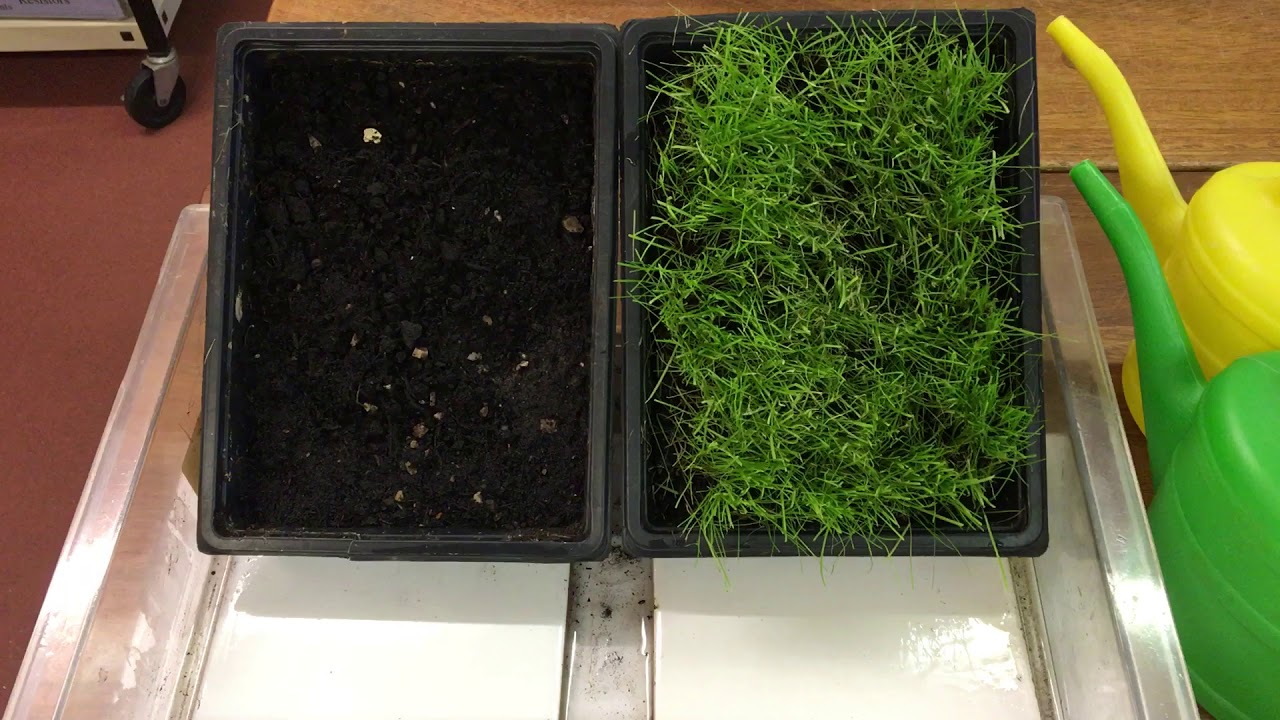 Soil erosion demonstration - YouTube