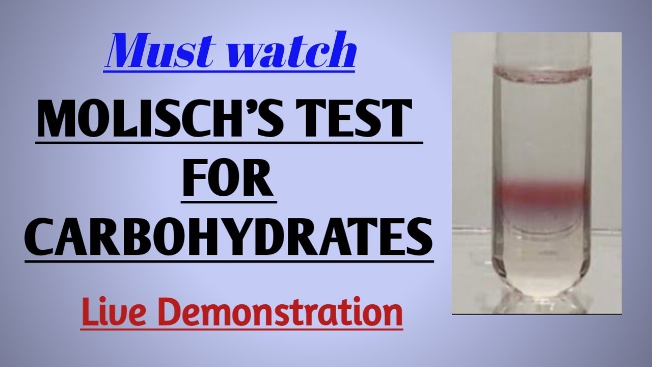 Molisch's test for carbohydrates | #biochemistry - YouTube