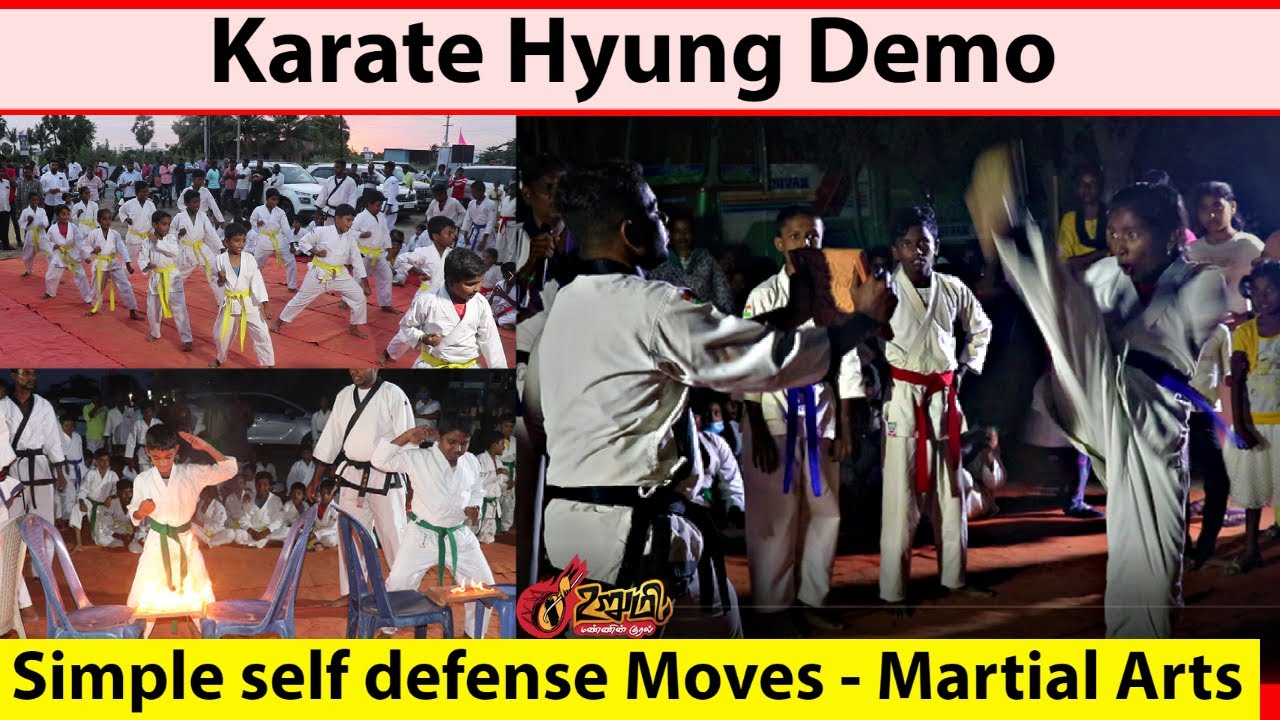 Top Self Defense Moves | Demonstration of various karate techniques ...