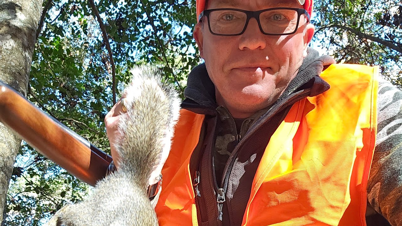 squirrel cleaning - YouTube