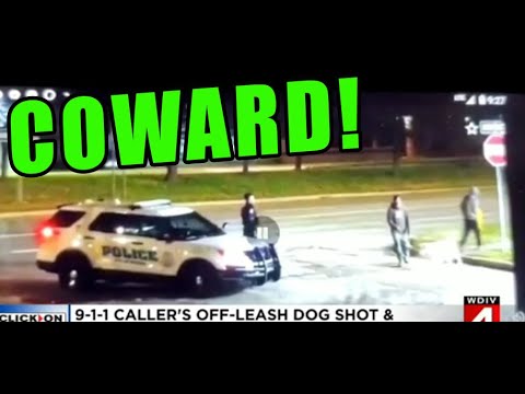 Drone Captures Inkster Michigan Police Open Fire on Man's Therapy Dog ...