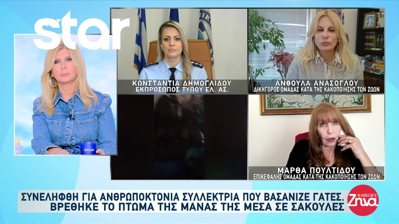 Εξάρχεια: Συνελήφθη συλλέκτρια που βασάνιζε γάτες - Έκρυβε σε σακούλες ...