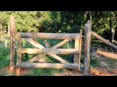 HANGING A RUSTIC HANDMADE GATE FOR 194-YEAR-OLD LOG CABIN | AARON MADE ...