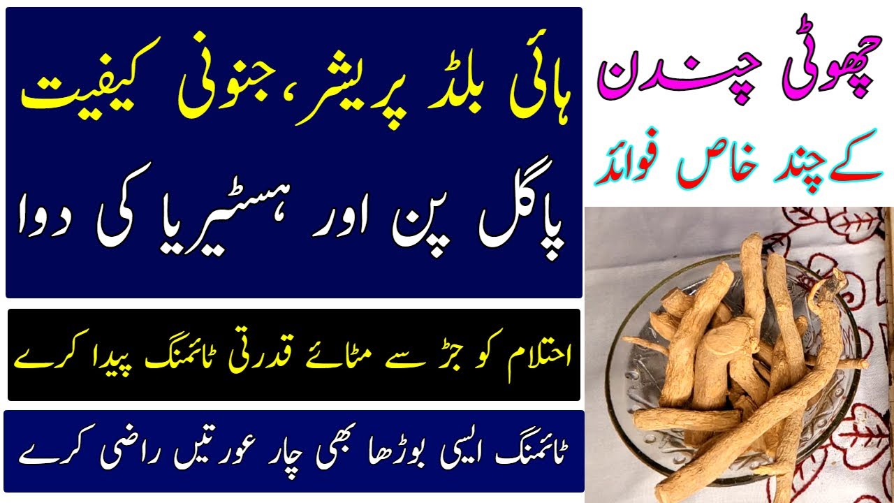 Choti Chandan Ke Khas Fawaid || Rauwolfia Serpentina Health Benefits ...