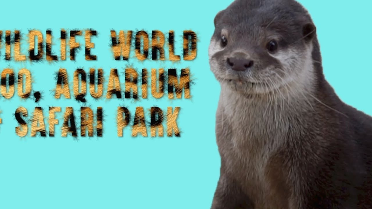Wildlife Encounter Show | Wildlife World Zoo, Aquarium & Safari Park ...