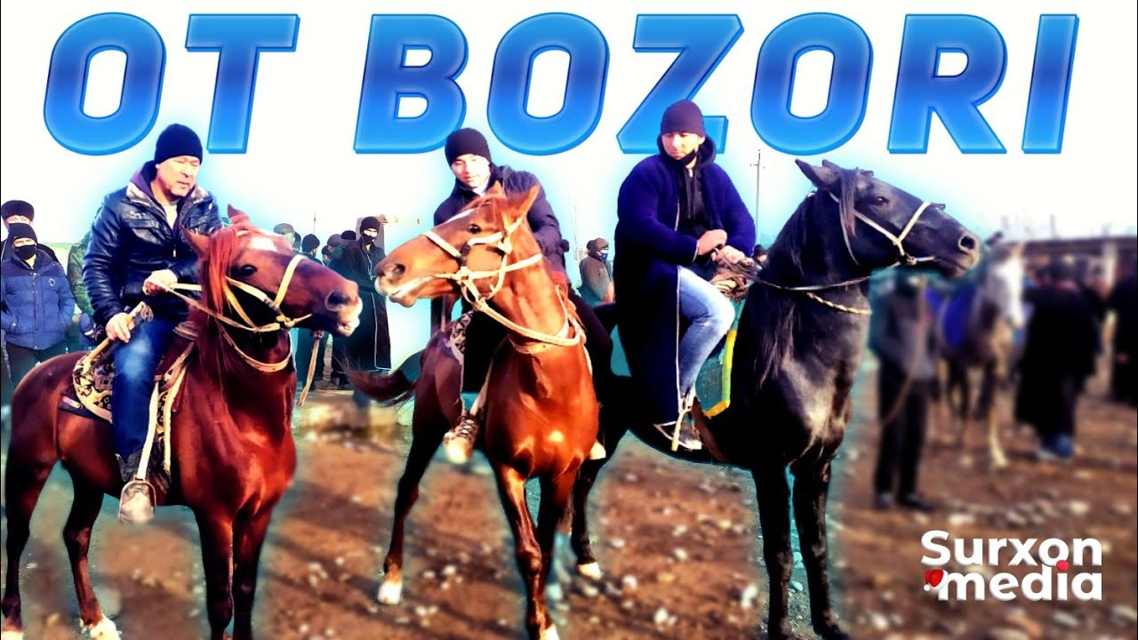 OTLARNI ZOʻRLARI // SURXONDARYO SARIOSIYO PAYSHANBA OT BOZORI NARXLARI ...