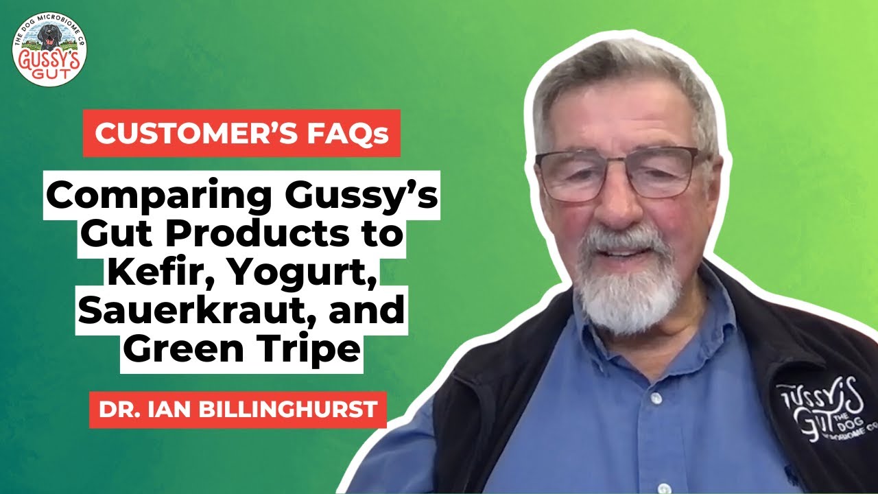 Can Fermented Foods Really Work for Your Dog’s Health? | Gussy’s Gut ...