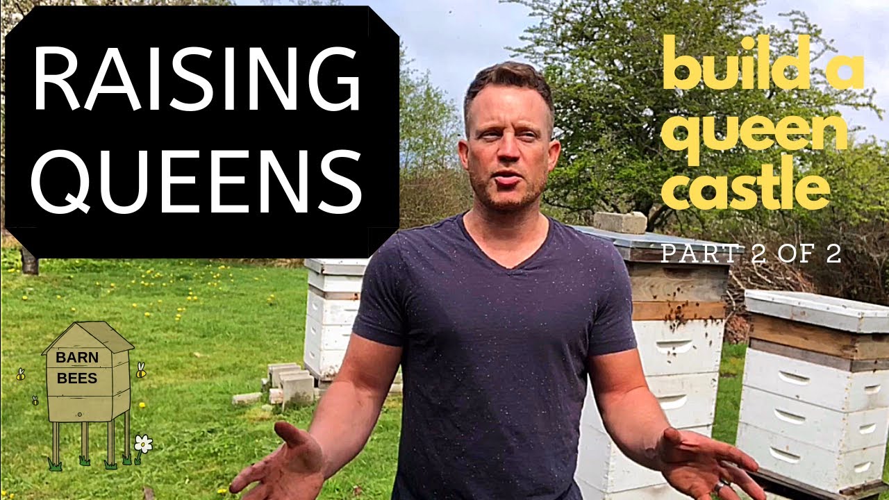 How To Raise Queens With A Queen Castle - Part 2 of 2 - YouTube