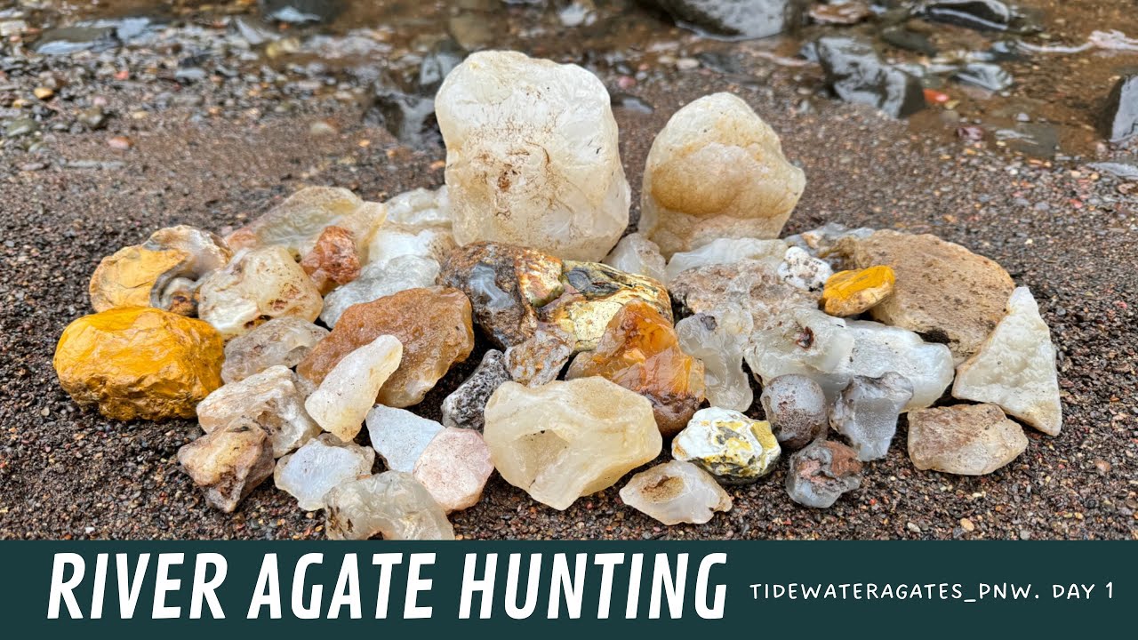 River Agate Hunting(2 Pound Agate Found) - YouTube