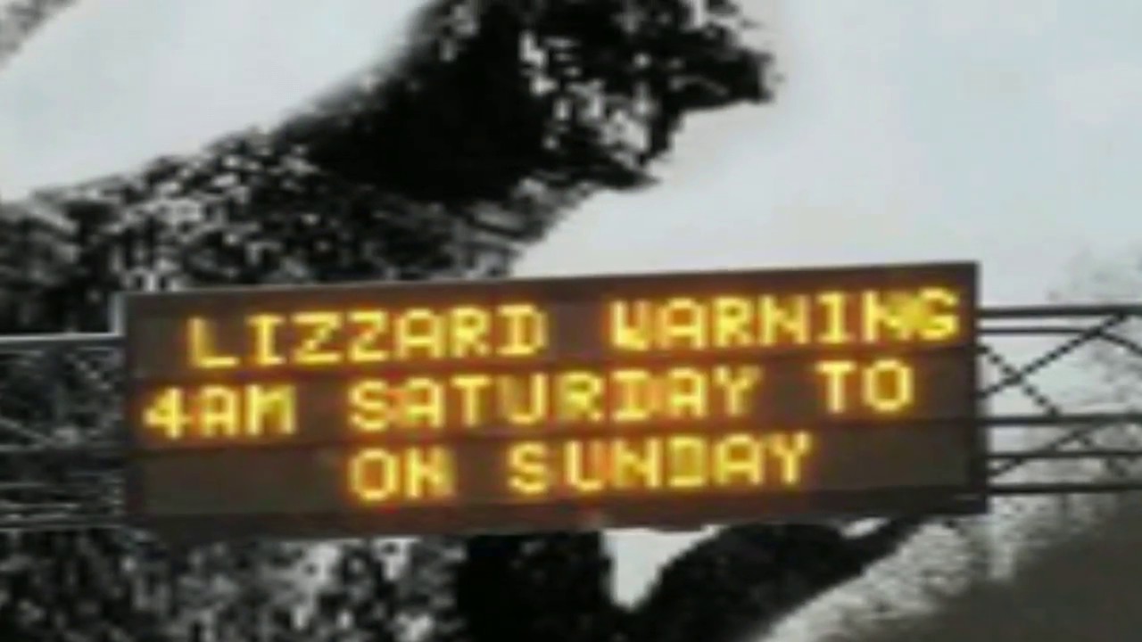 Lizzard Warning in Your Area! GODZILLA - YouTube
