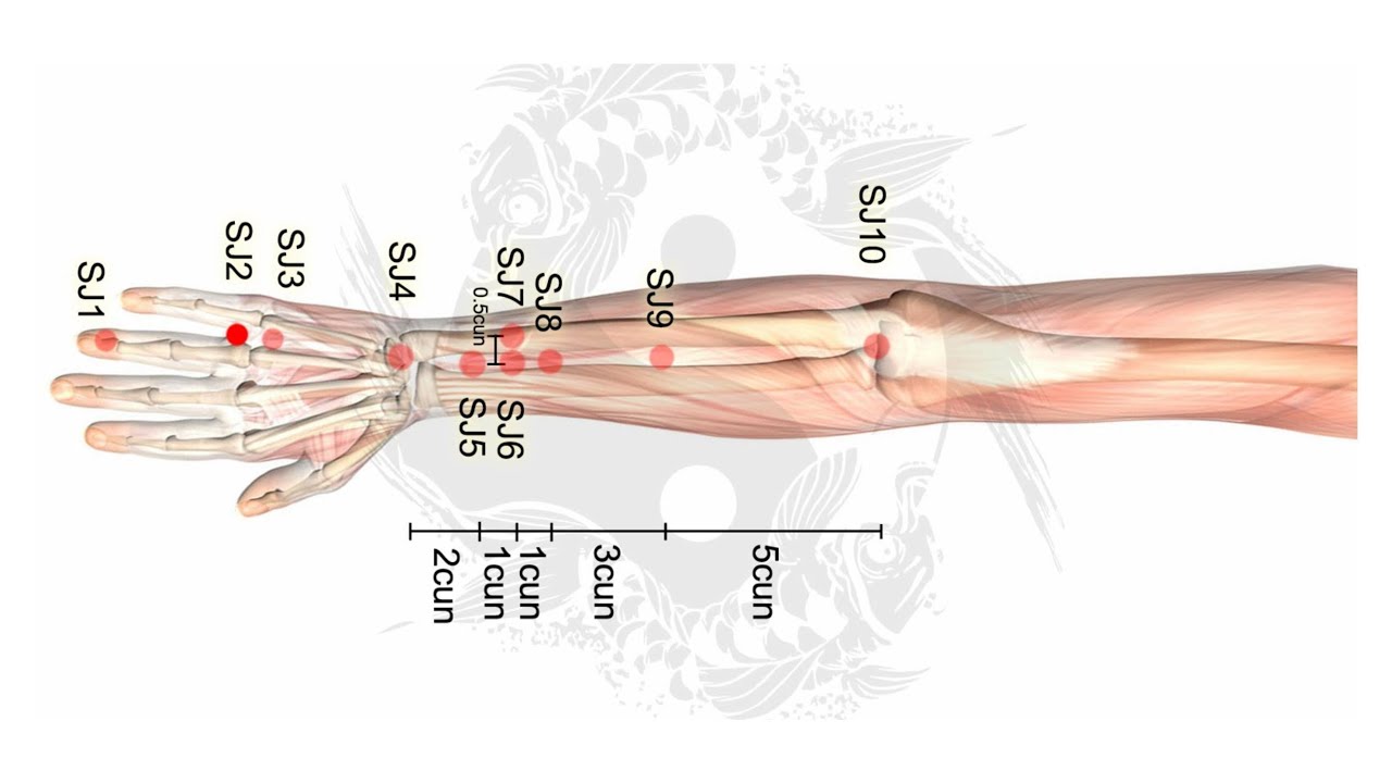 SANJIAO CHANNEL OF HAND SHAOYANG (SJ5, SJ6, SJ7, SJ8, SJ10) - YouTube