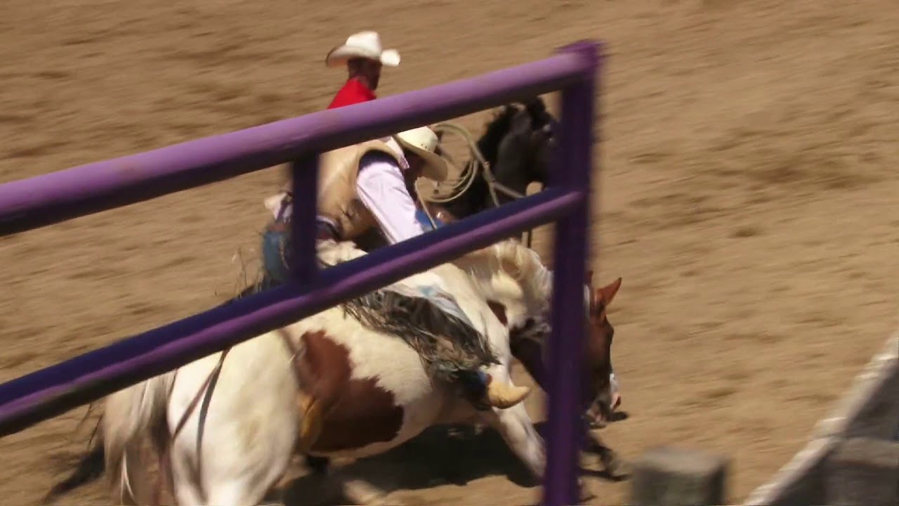 bareback bronc riding at rodeo - YouTube
