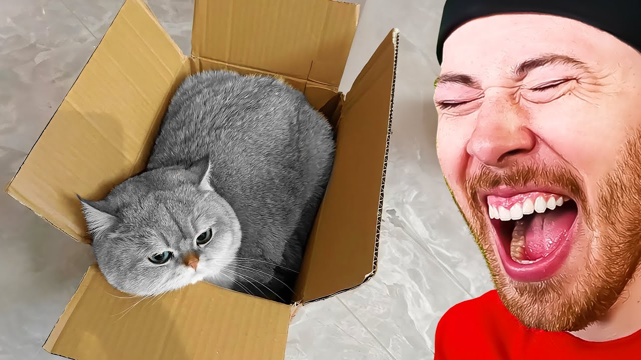 SMARTEST Animals on The Internet! - YouTube