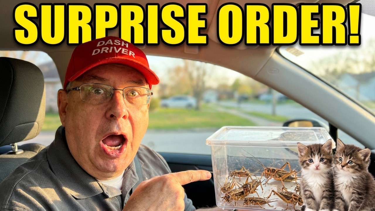 The Silver Dasher - Retiree Doing Deliveries - Episode 008 - Kittens ...