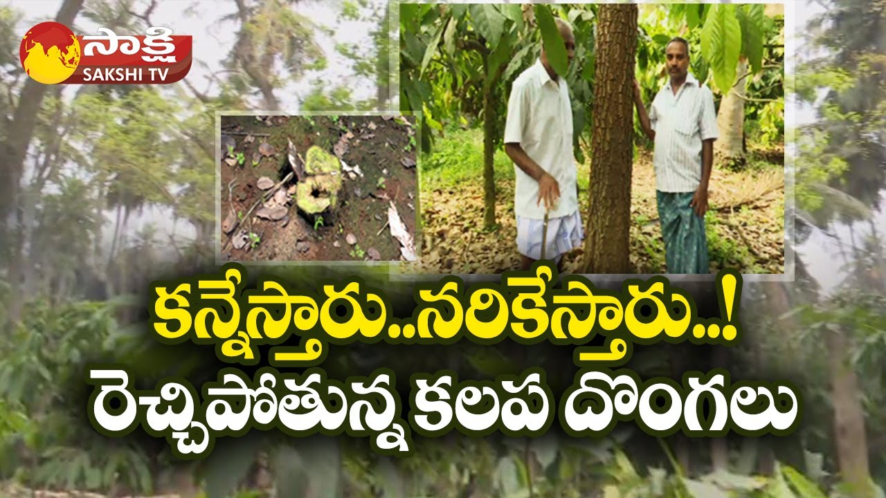 Sri Gandham Farmers About Sandalwood Smugglers | Sri Gandham Farming ...