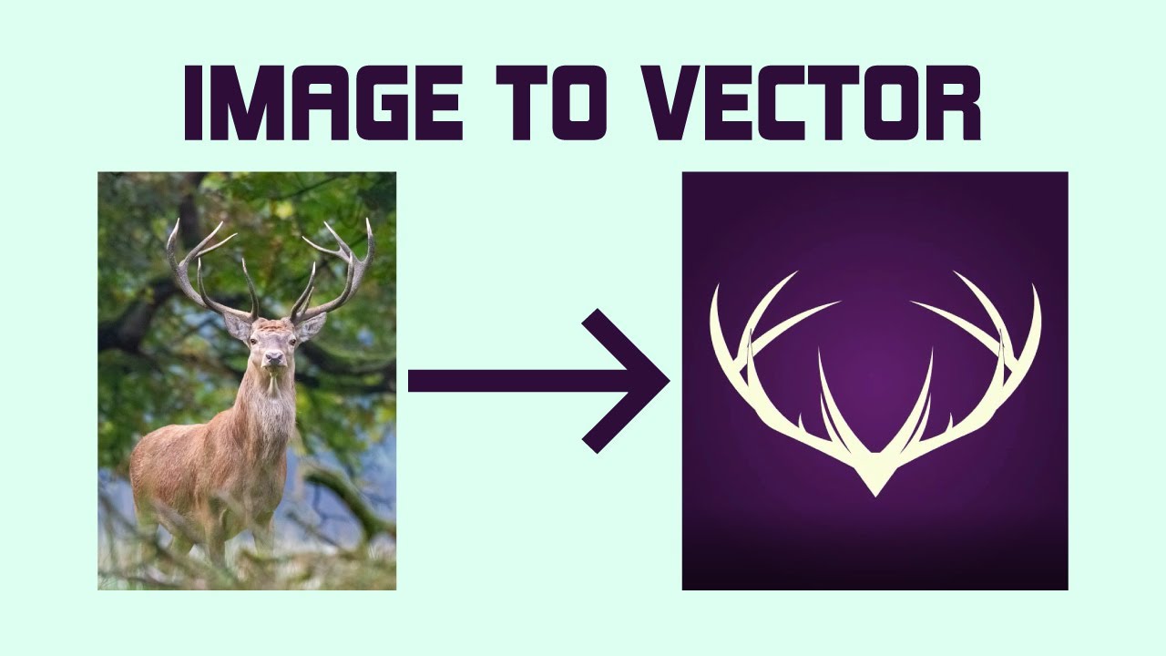 How To Convert An Image To Vector In Illustrator II JPEG Image Into A How To Convert An Image To Vector In Illustrator II JPEG Image Into A
