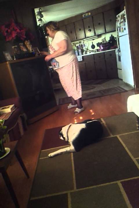 Mom Twerking Funniest Thing Ever Youtube