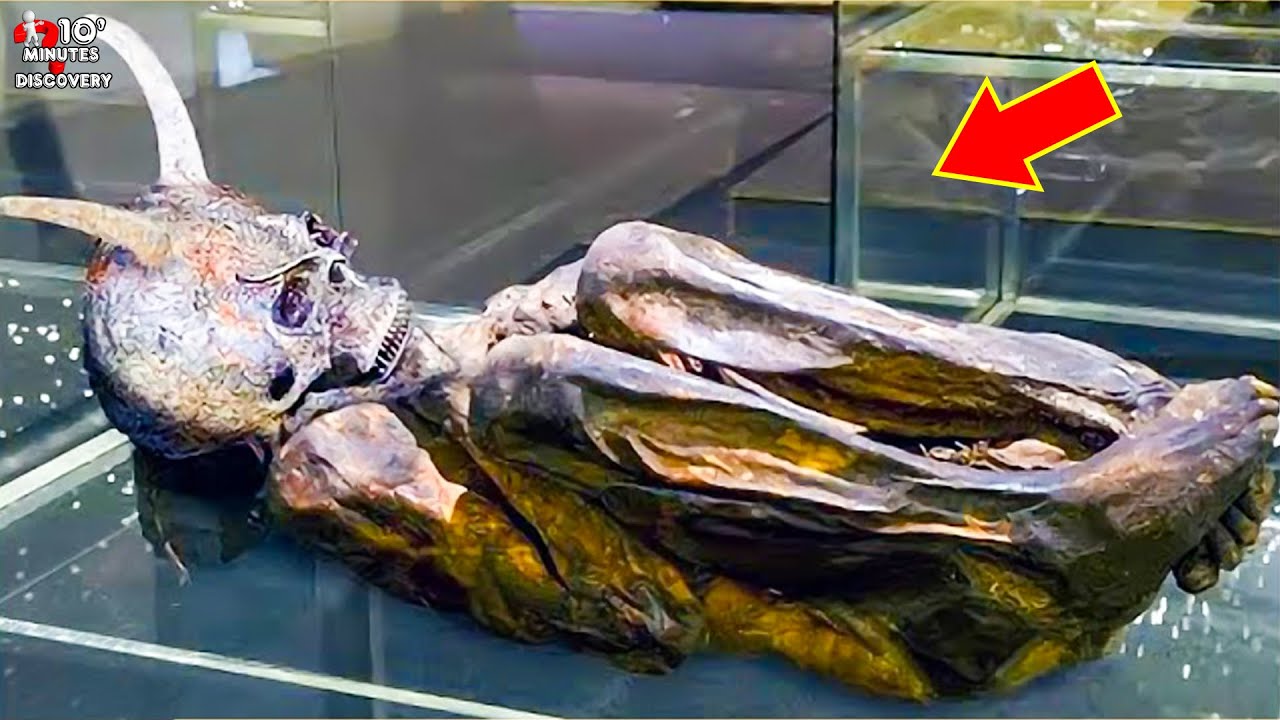 🌎 10 Latest Archaeological Discoveries That Have Shaken the World | 10 ...