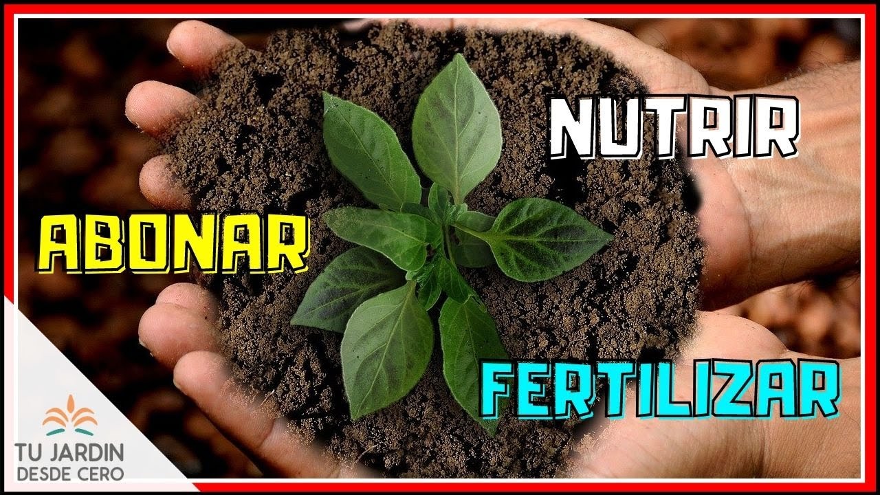 FERTILIZADO 🔶 ¿Qué es un ABONO? 🔶 NUTRIENTES para las plantas ...