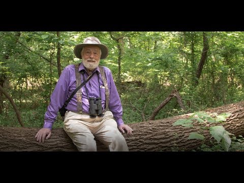 How to Get Started as a Naturalist with Henry Horn