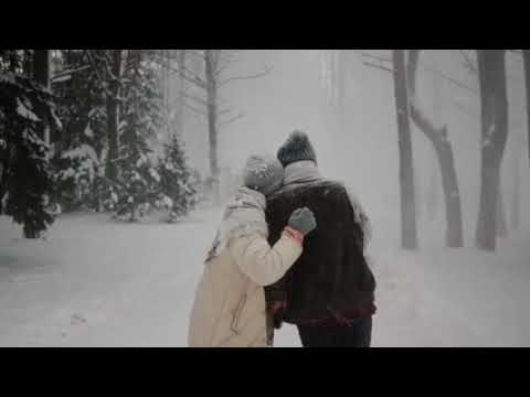 20,000+ Best Couple In Love Videos · 100% Free Download · Pexels Stock ...