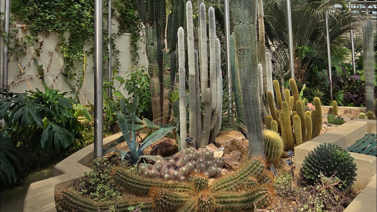 The Glass Pavilion at Sheffield Botanical Gardens - YouTube